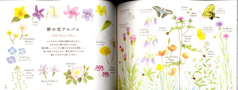 How to Draw 12 Months Pretty Motifs and Flowers With Colored | Etsy