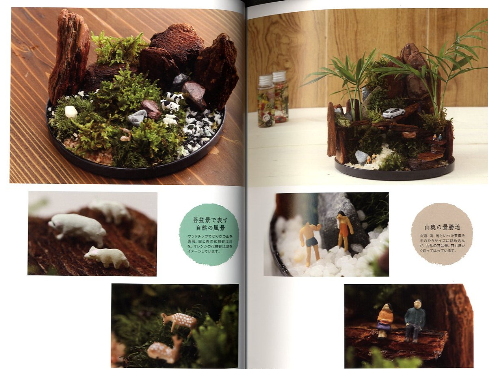 How to Enjoy Moss as A Hobby Japanese Koke Bonsai Book - Etsy