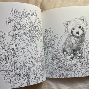 Gift From the Animals Coloring Book - Japanese Coloring Book - Etsy