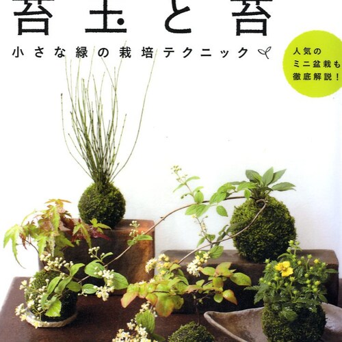 How to Enjoy Moss as A Hobby Japanese Koke Bonsai Book - Etsy