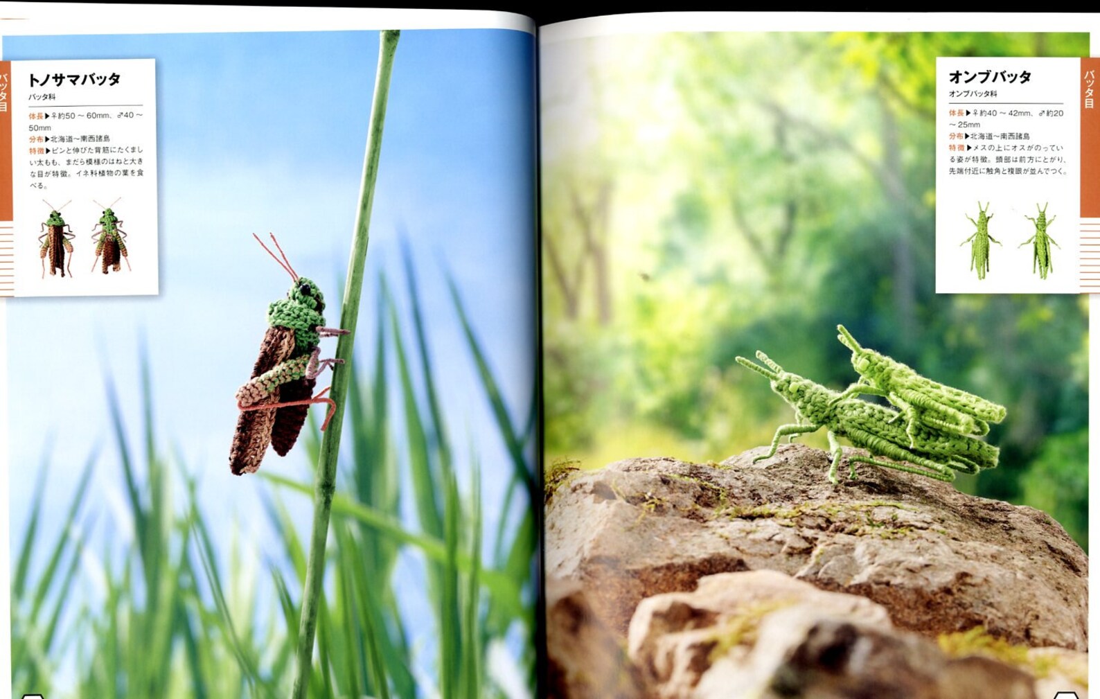 Miniature Crochet Insect Encyclopedia Japanese Craft Book - Etsy