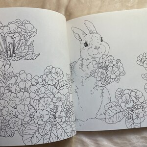 Gift From the Animals Coloring Book - Japanese Coloring Book - Etsy