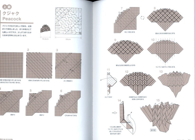 Great 3D Origami Japanese Craft Book | Etsy