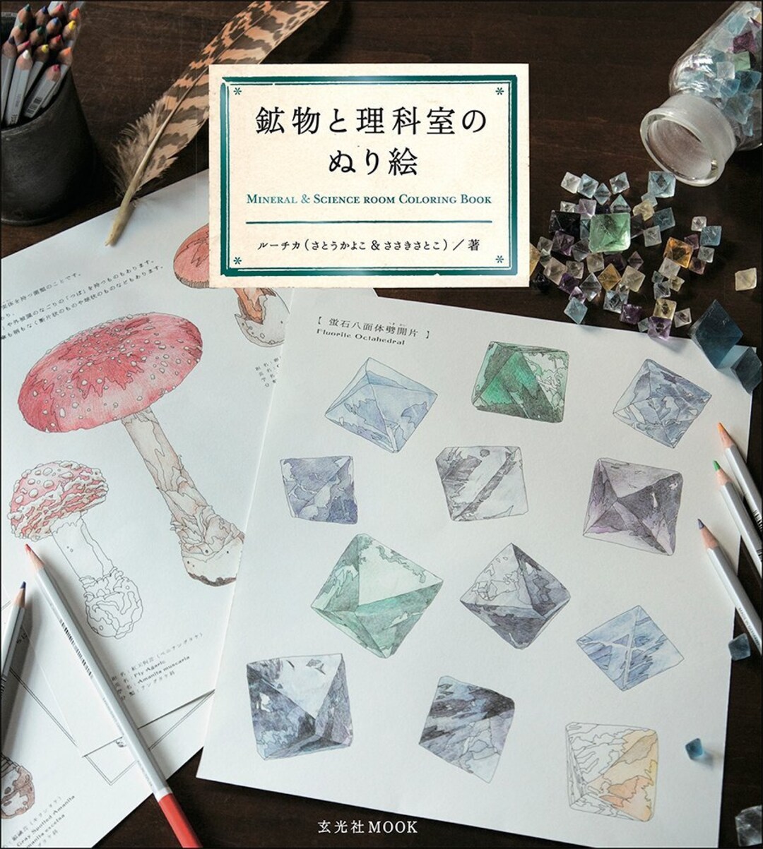 Mineral & Science Room Coloring Book Japanese Coloring Book - Etsy