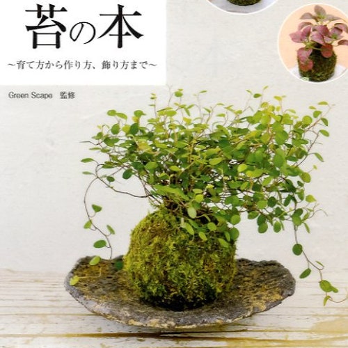 How to Enjoy Moss as A Hobby Japanese Koke Bonsai Book - Etsy