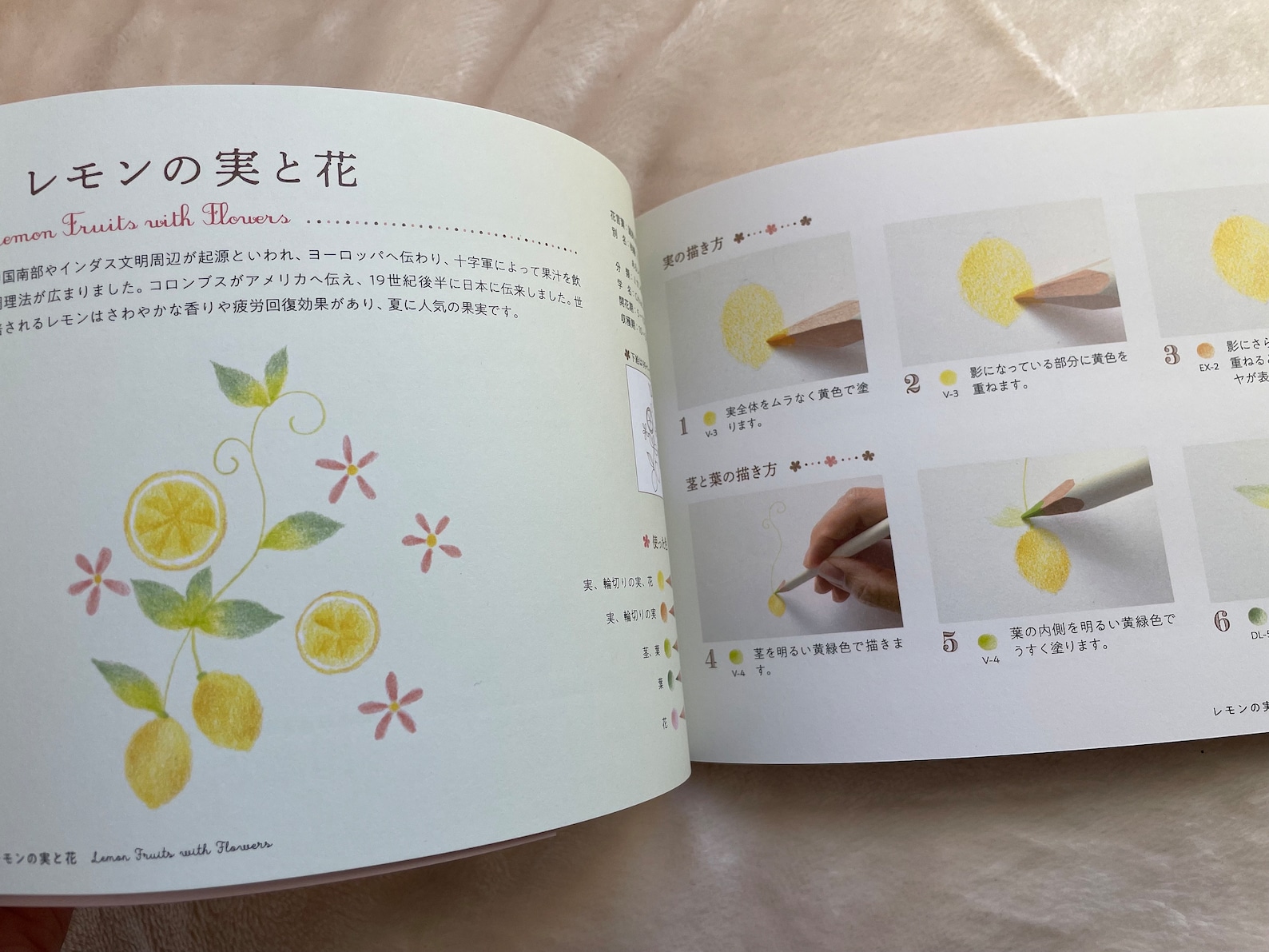 How to Draw 12 Months Pretty Motifs and Flowers With Colored Pencils ...
