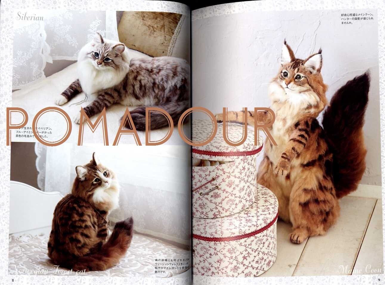 Home & Hobby Craft Supplies & Tools Felt Realistic CATS textbook ...