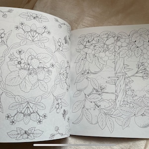 Coloring Book of Secret Dream Story Fairy Tale Like Coloring Book ...