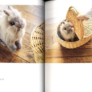 Realistic FELT Wool Cute Rabbits Japanese Craft Book - Etsy