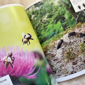 Miniature Crochet Insect Encyclopedia Japanese Craft Book - Etsy