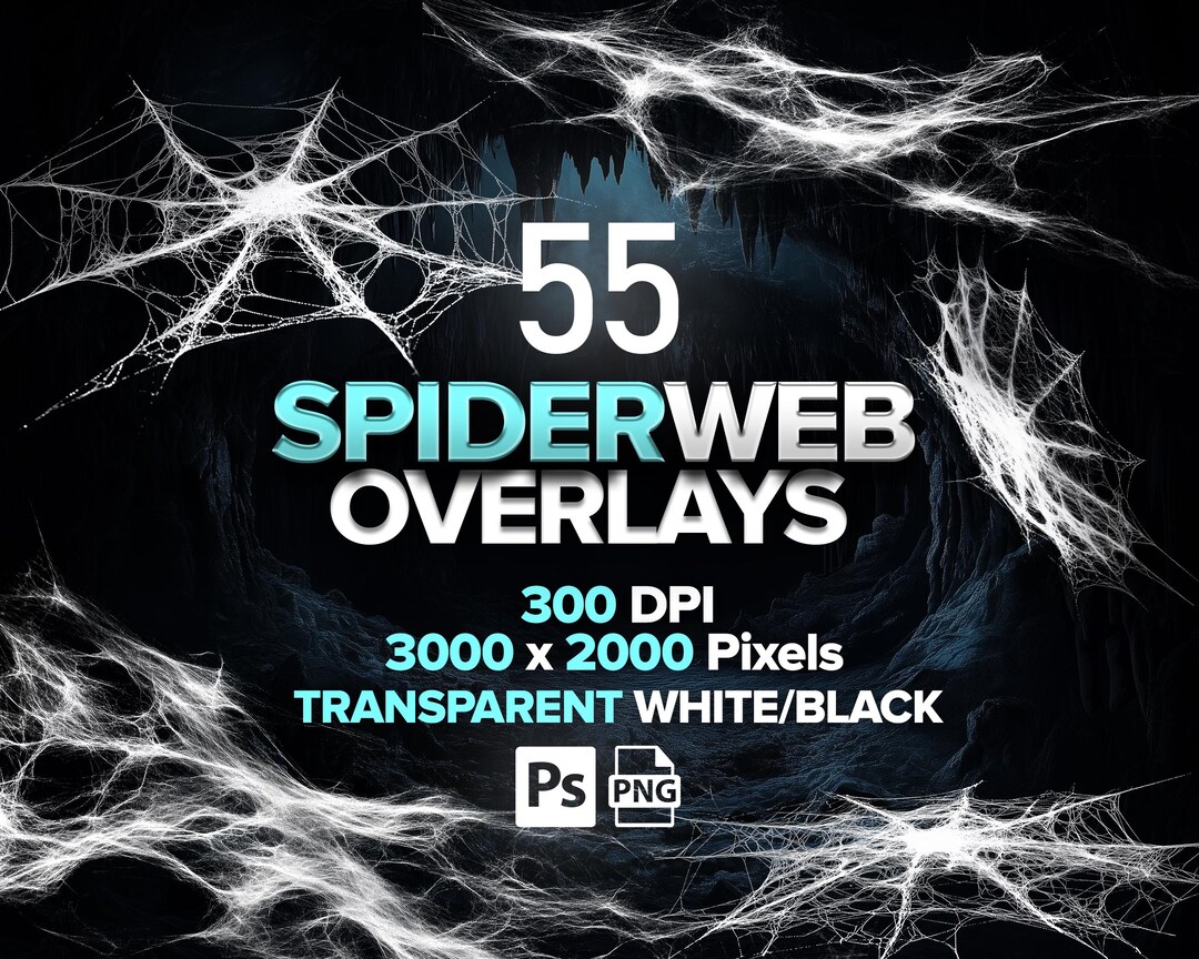 55 Spider Web Overlays, Realistic Cobweb, Spooky Halloween Clipart ...