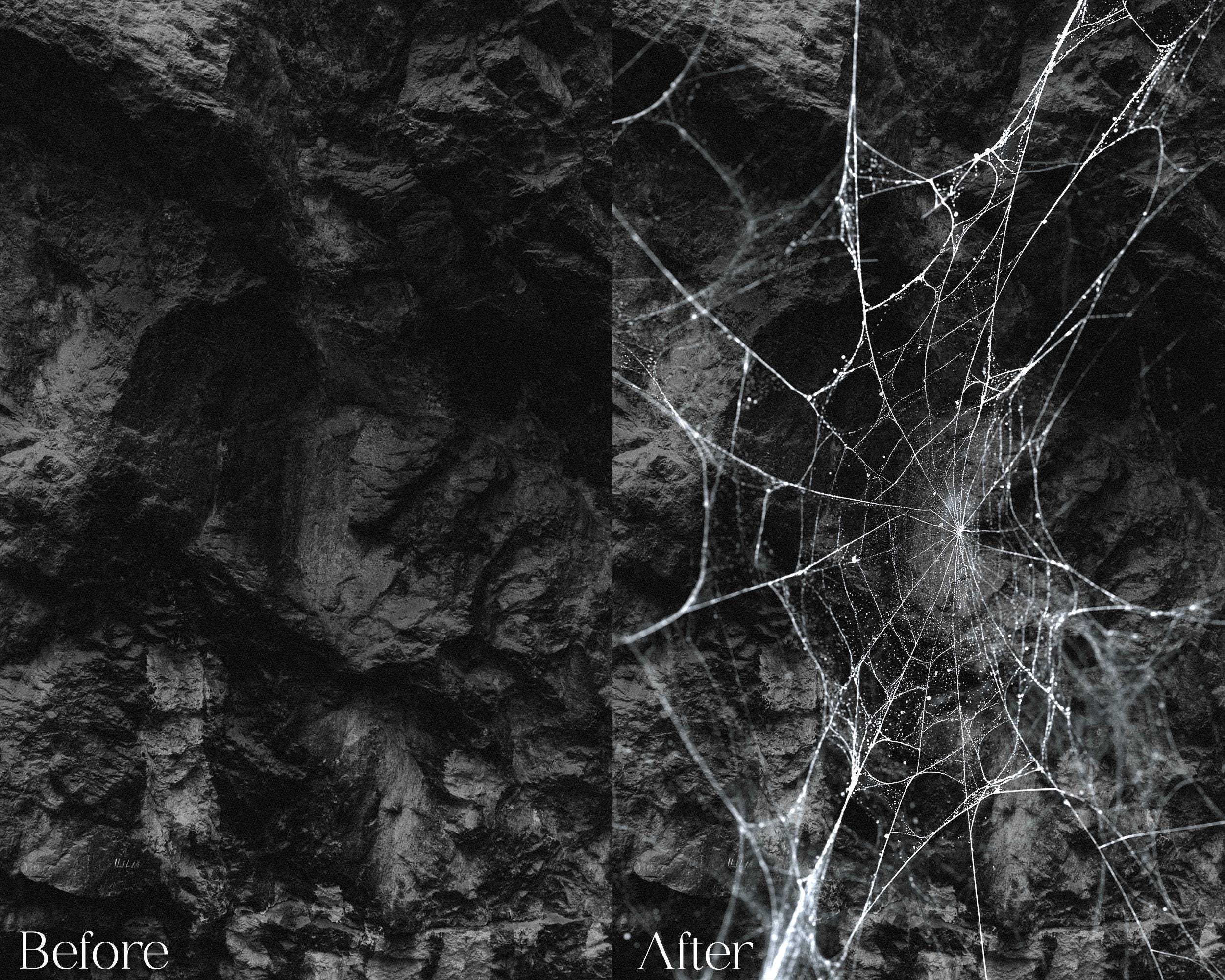 100 Spider Webs Overlays, Realistic Cobwebs Clipart, Halloween Backdrop ...