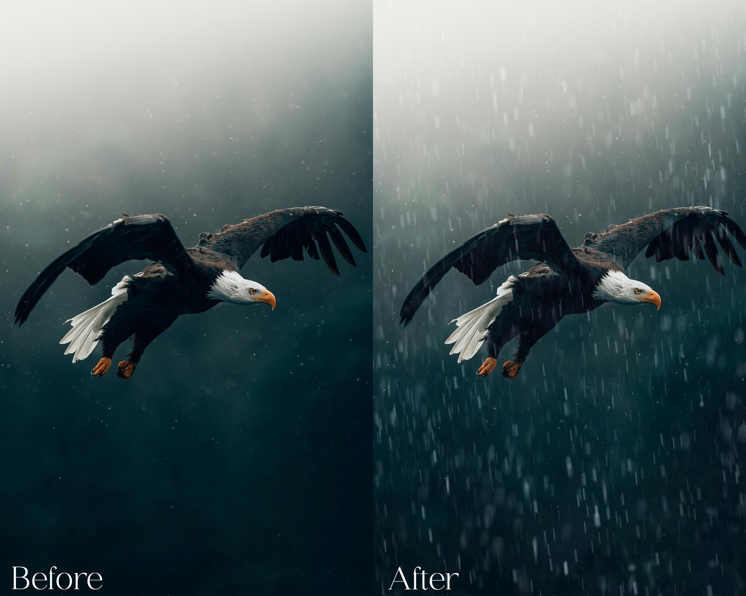 100 Rain Overlays for Photoshop, Realistic Rain, Falling Rain Overlay ...