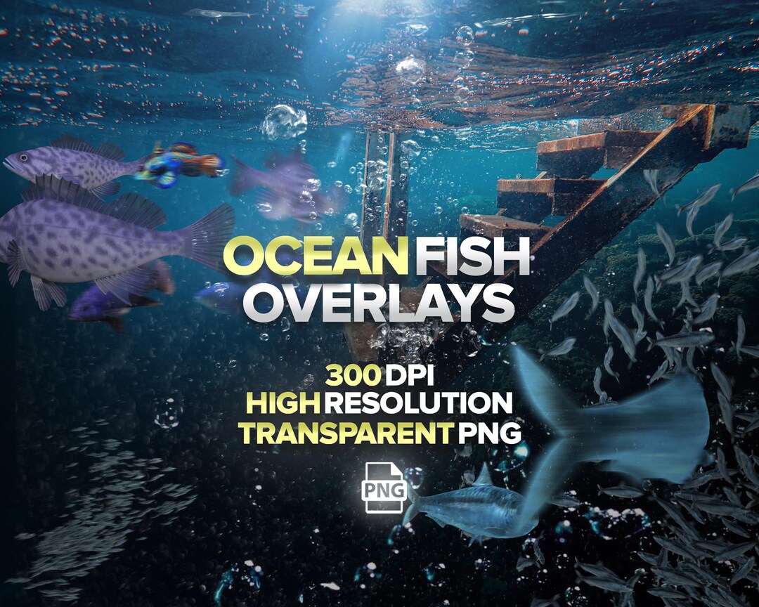 Fish PNG Overlays, Clipart Fish, Photoshop Overlays, Ocean Fishes ...
