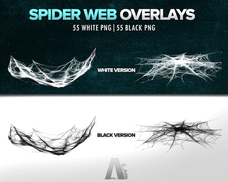 55 Spider Web Overlays, Realistic Cobweb, Spooky Halloween Clipart ...