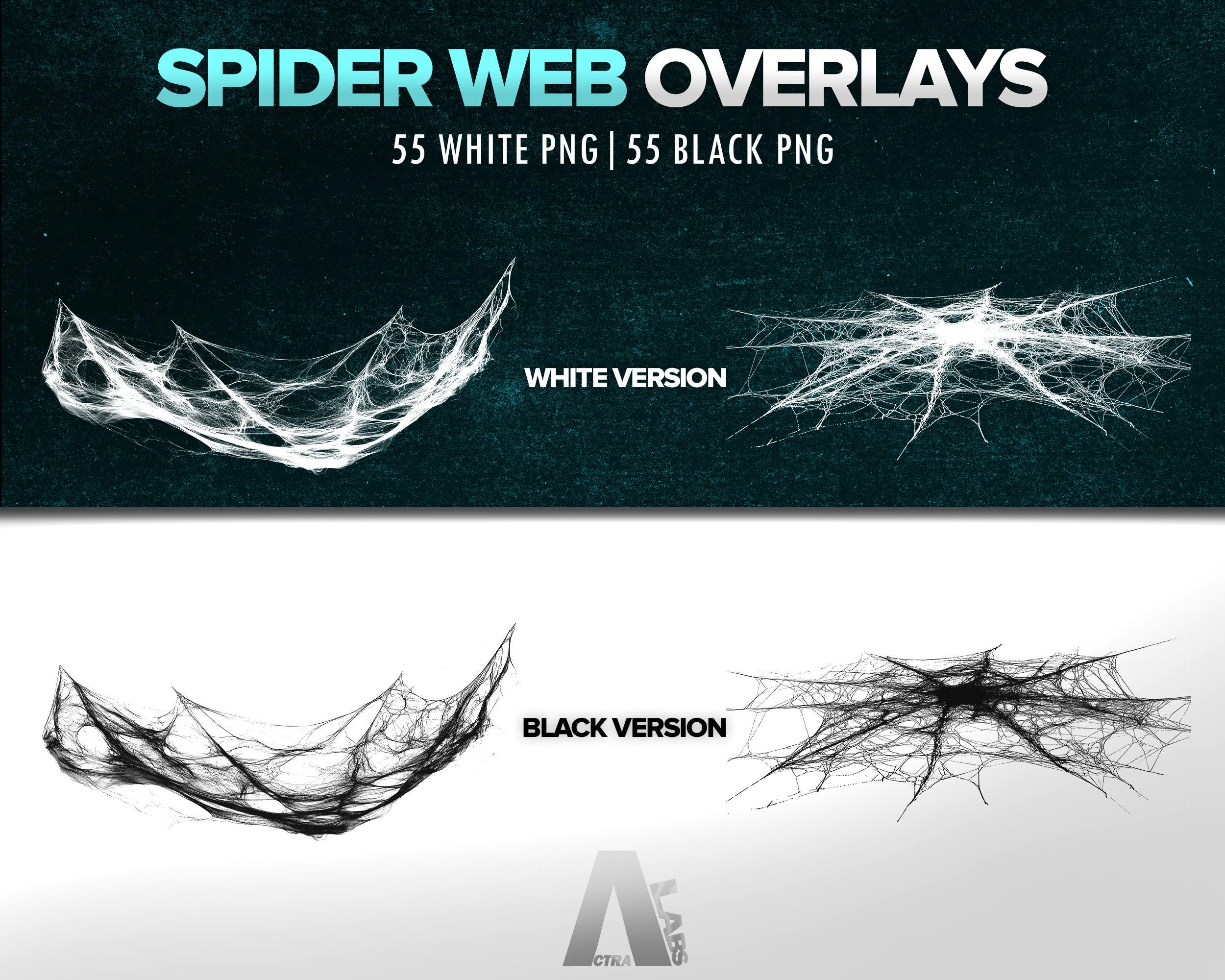 55 Spider Web Overlays, Realistic Cobweb, Spooky Halloween Clipart ...