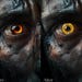 50 Eye Overlays Photoshop, Eye Color Clipart, Eye Lens, Iris Overlays ...