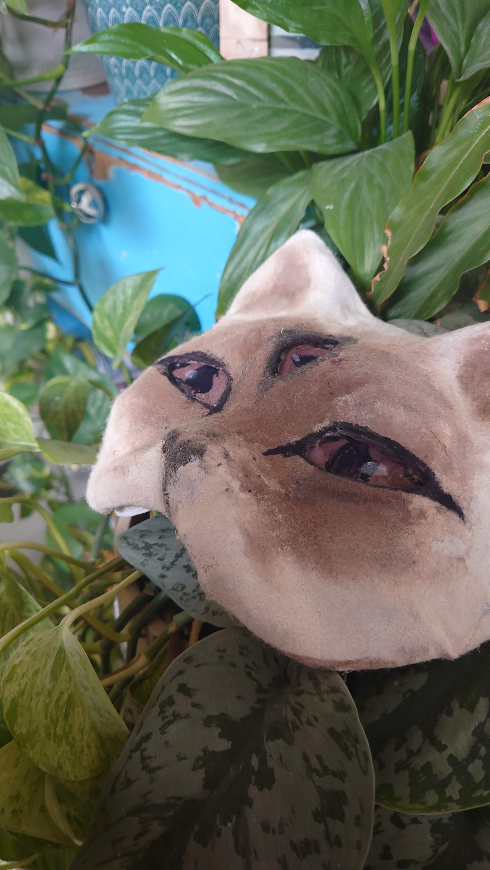 Siamese Cat Mask - Etsy