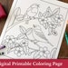 Coloring Page || Digital Download || Garden || Birds || Flowers || PDF ...