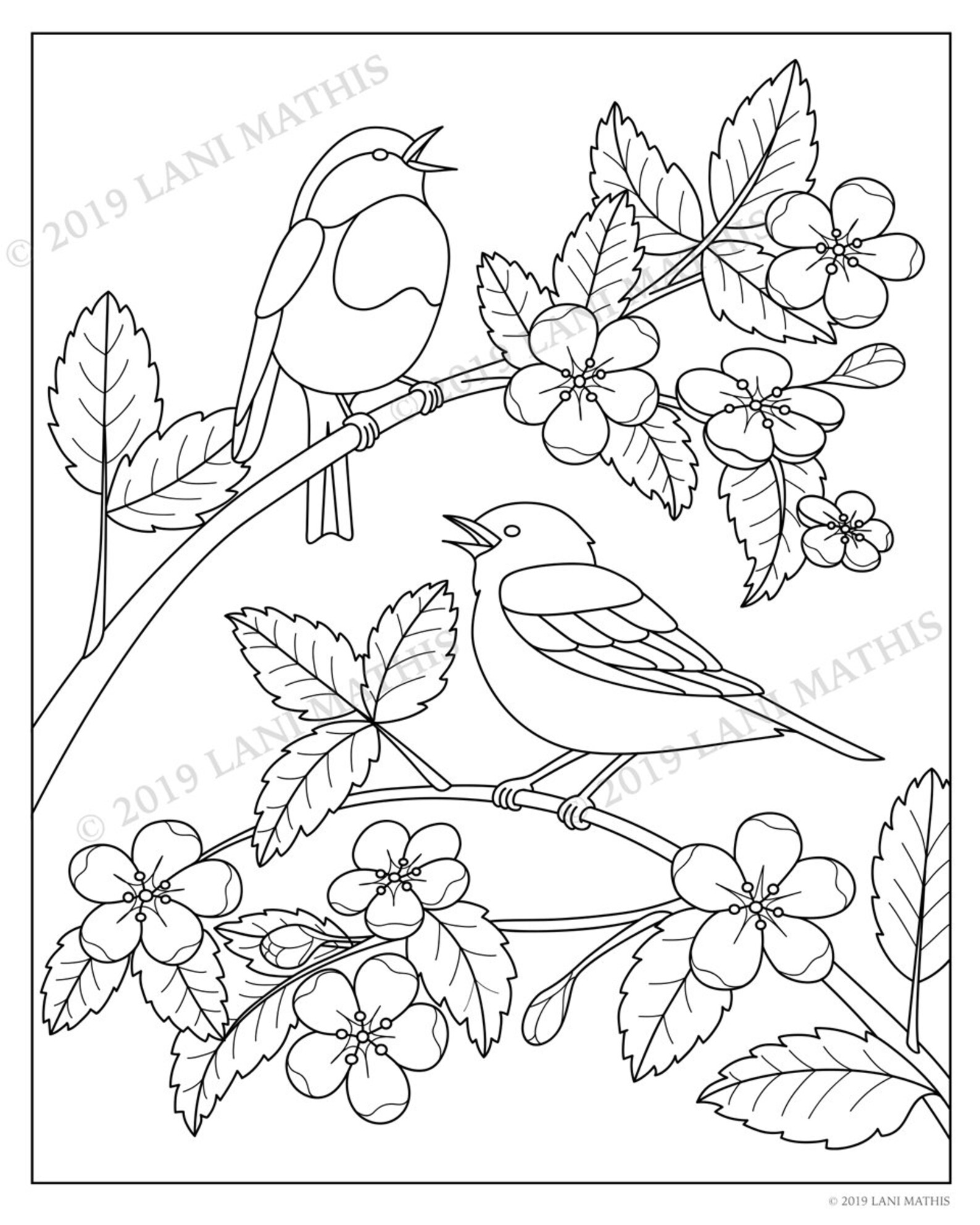 Coloring Page || Digital Download || Garden || Birds || Flowers || PDF ...