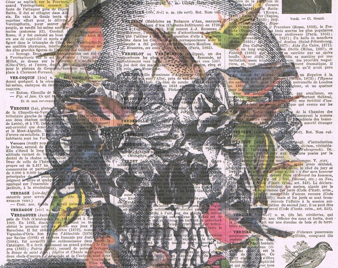 Sugar Skull Birds.goth.gift.antique French Book Page - Etsy