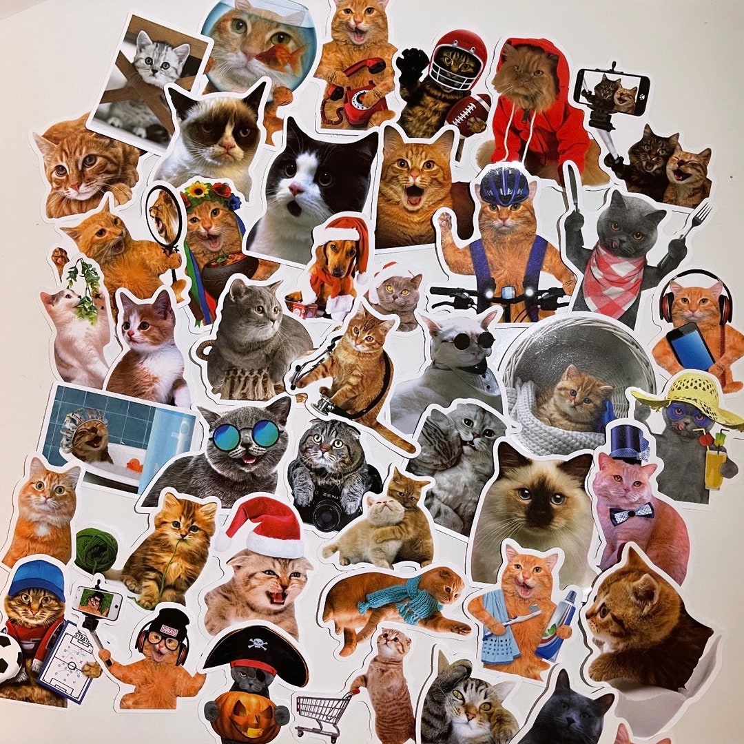10-pack Cute & Funny Cat Stickers for Cat Lovers Decoration for Gifts ...
