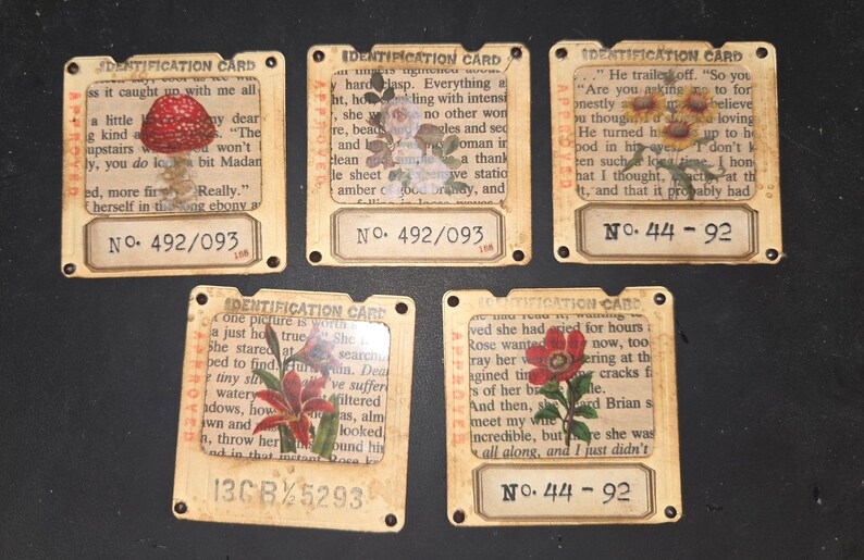 Faux Specimen Cards - Etsy