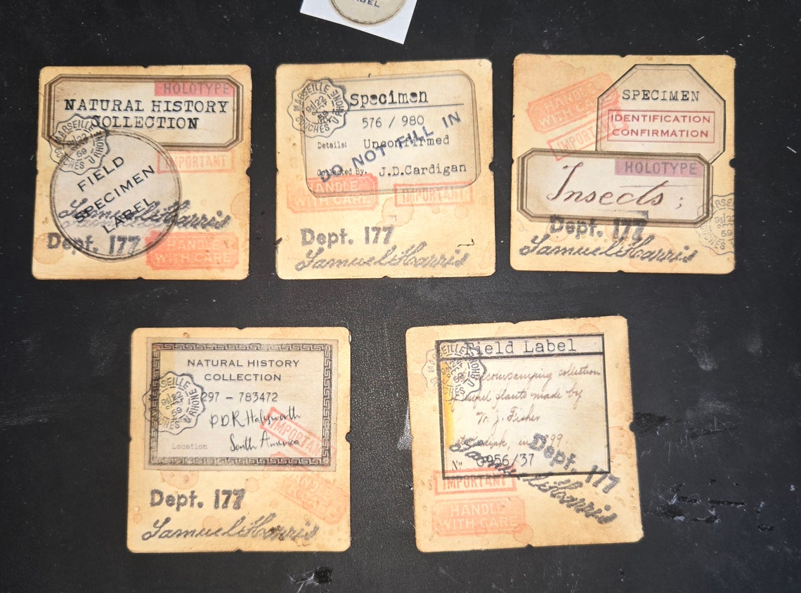 Faux Specimen Cards - Etsy