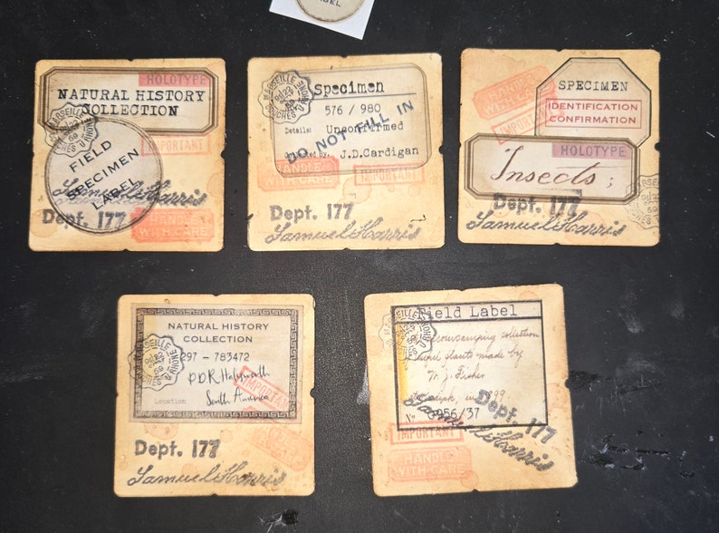 Faux Specimen Cards - Etsy