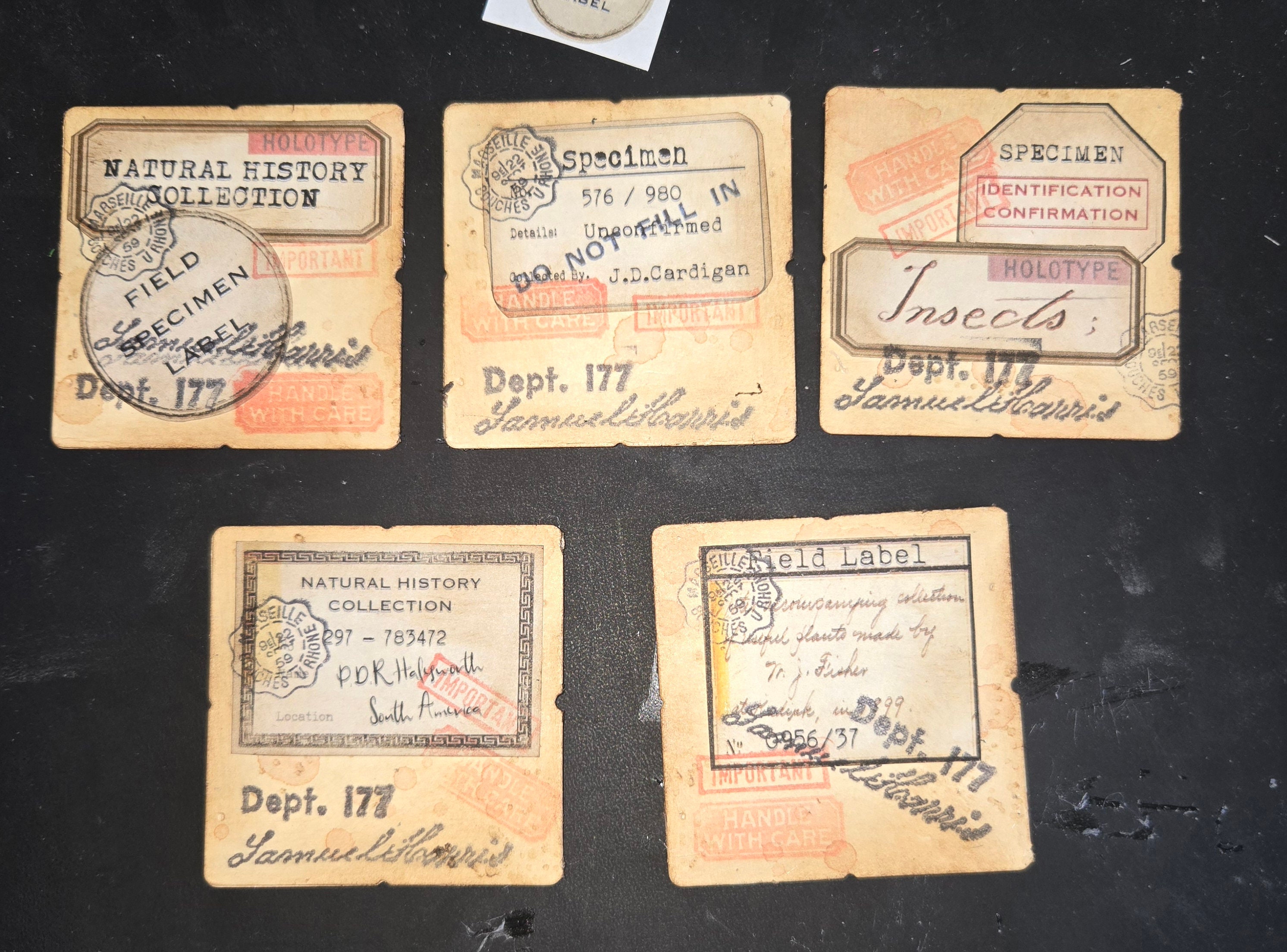 Faux Specimen Cards - Etsy