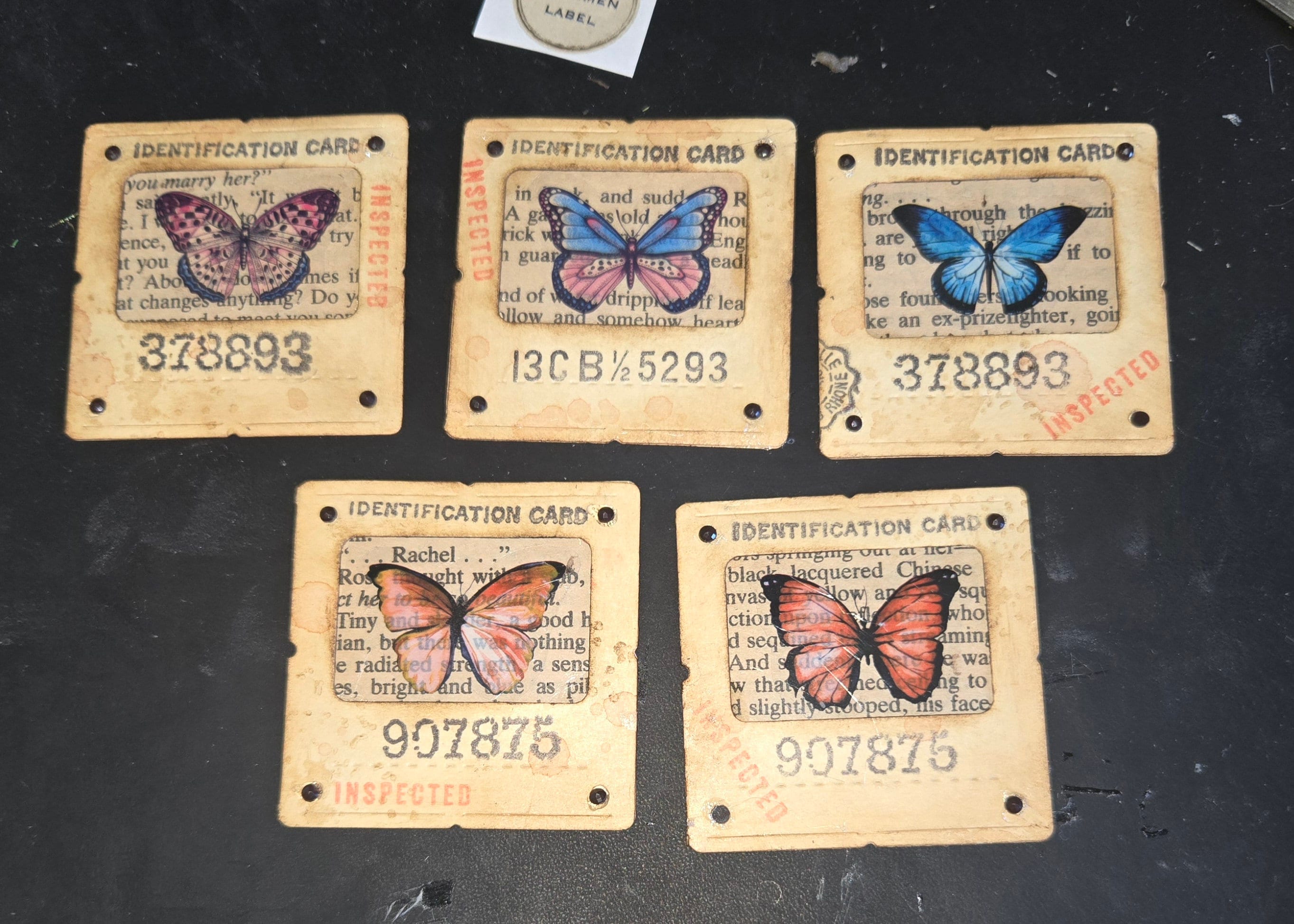 Faux Specimen Cards - Etsy