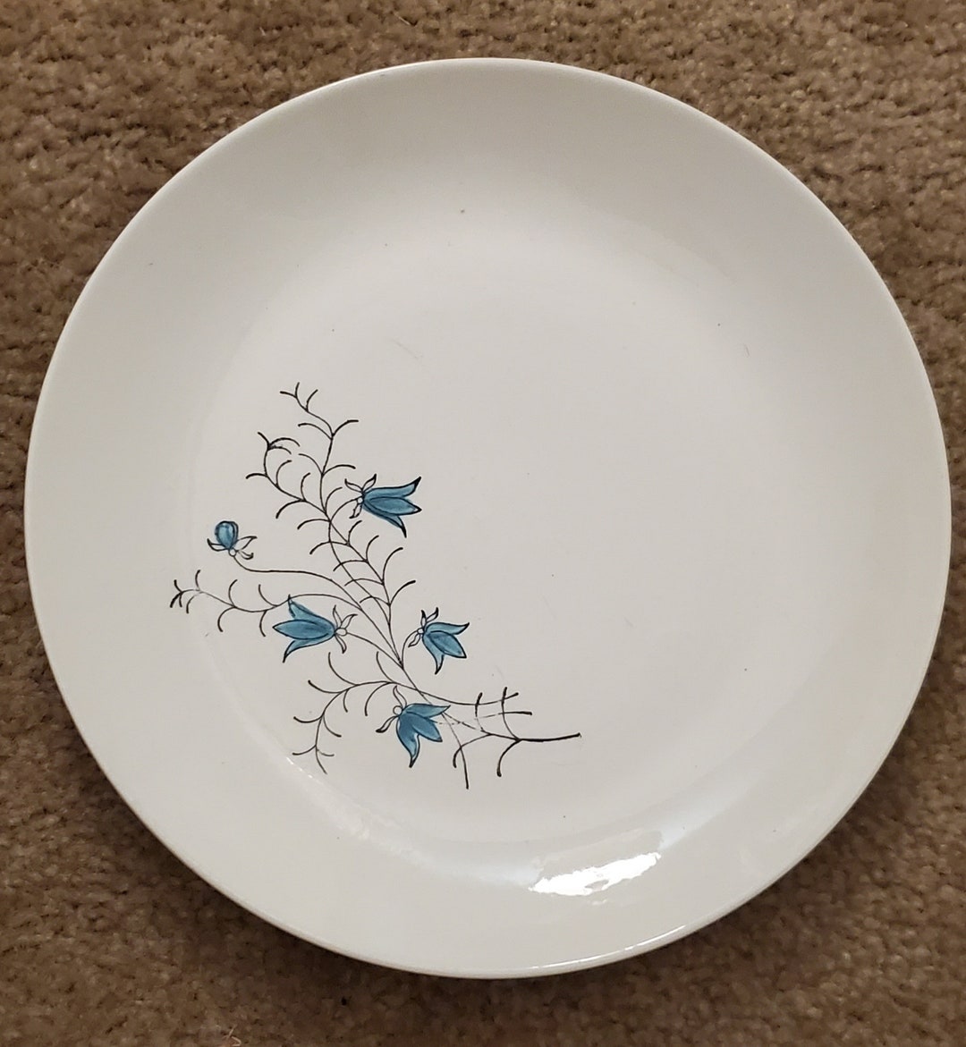 Blue Ridge Pottery Dinner Plate Skyline Style Unknown Pattern - Etsy