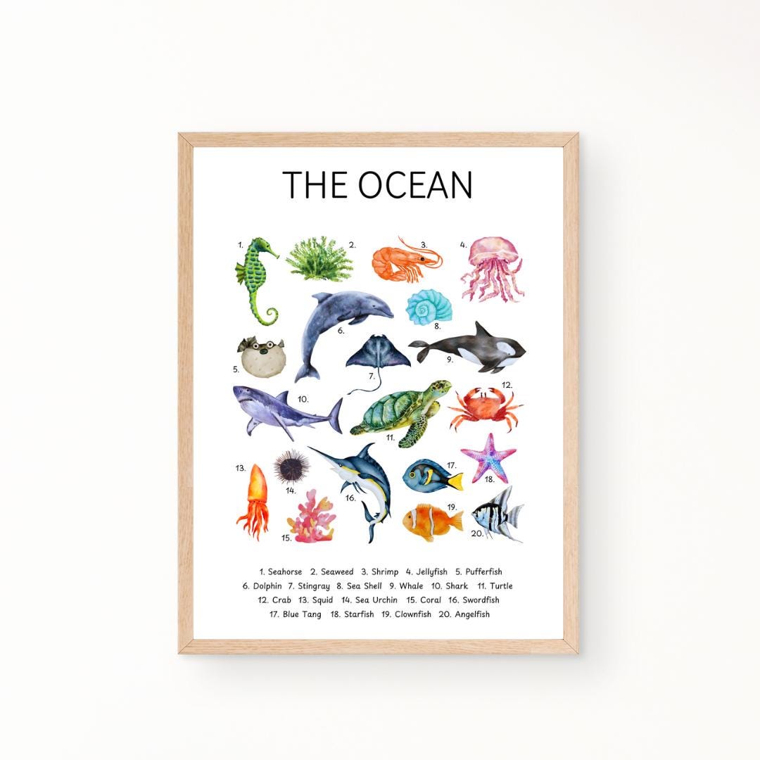 Ocean Animals Poster, Educational Poster, Nursery Prints, Homeschool ...
