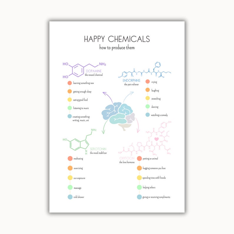 Happy Chemicals Poster, Brain Chemicals, Therapy Prints, Psychologist ...