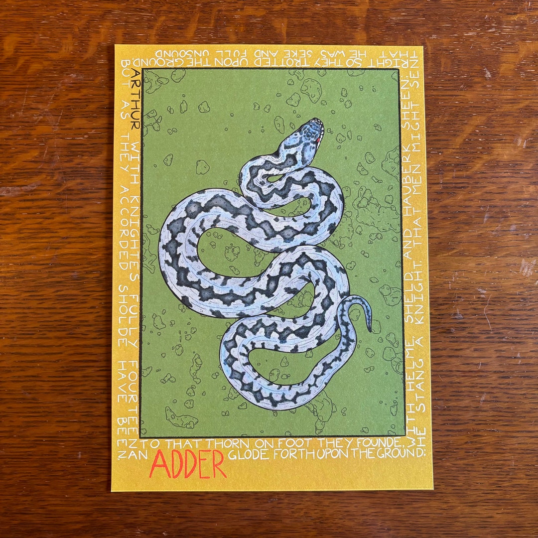 British Wildlife Art Print - Adder - A4 - Etsy