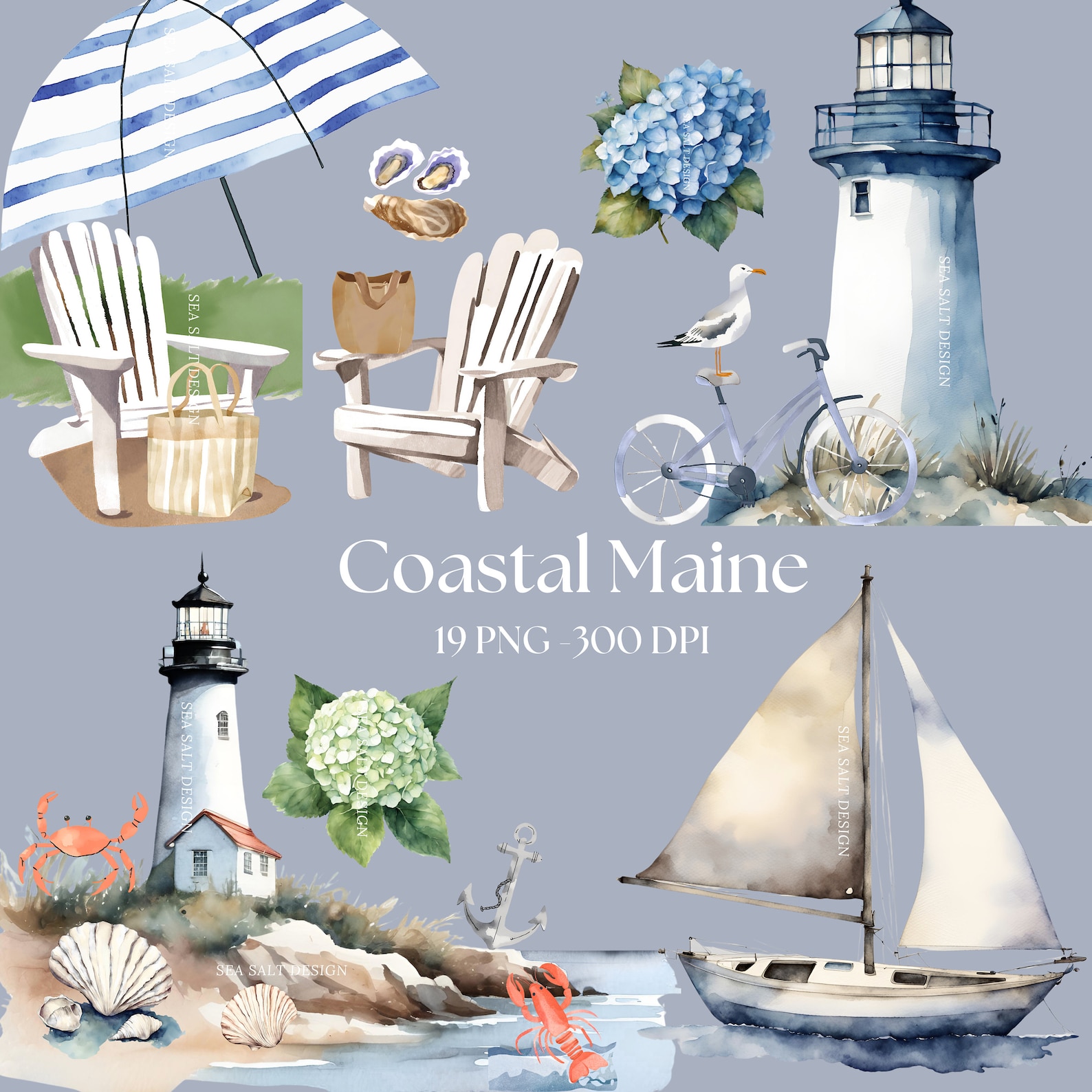 Watercolor Coastal Maine Clipart - Seashells - Lobster - Adirondack ...