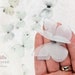 Silk White Butterflies Set of 12 Pieces, 3D Realistic Butterflies With ...