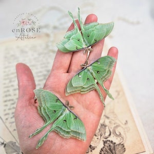 Silk Green Luna Moth Hair Clip, 3D Moon Moth Butterfly With Layered ...