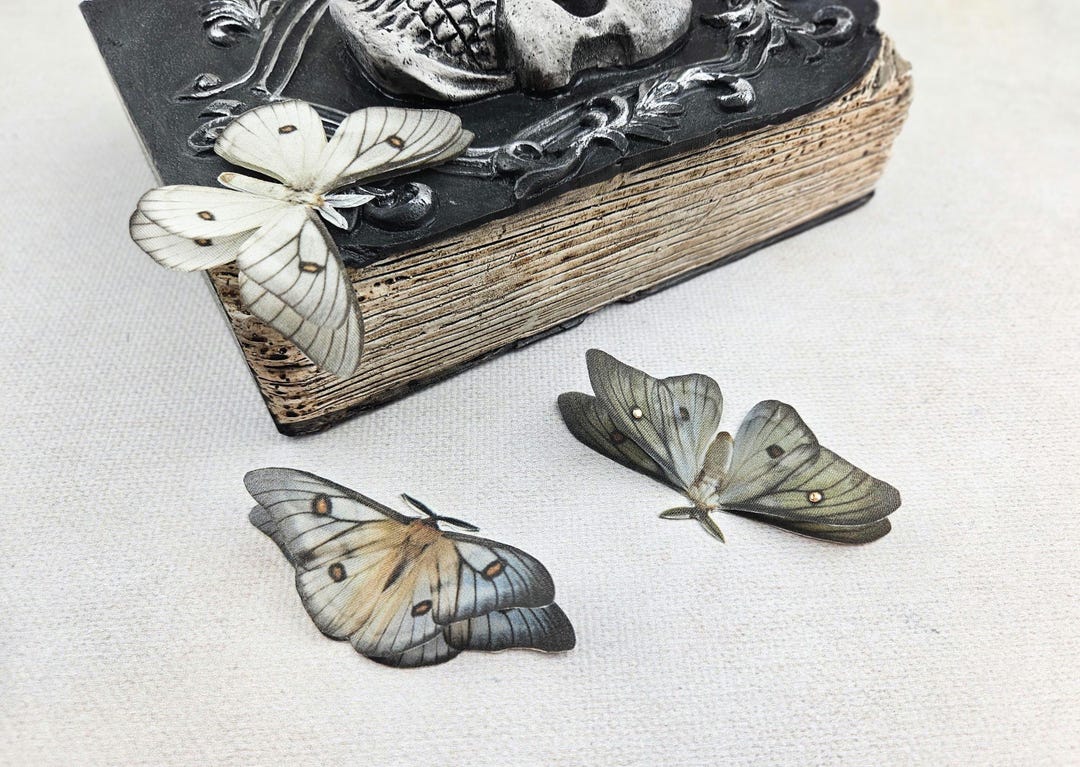 Ghost Silk Moths Mix of 3, Gothic Style Moths With Layered Wings ...