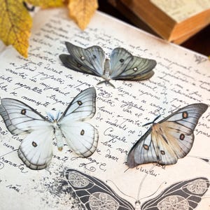 Ghost Silk Moths Mix of 3, Gothic Style Moths With Layered Wings ...