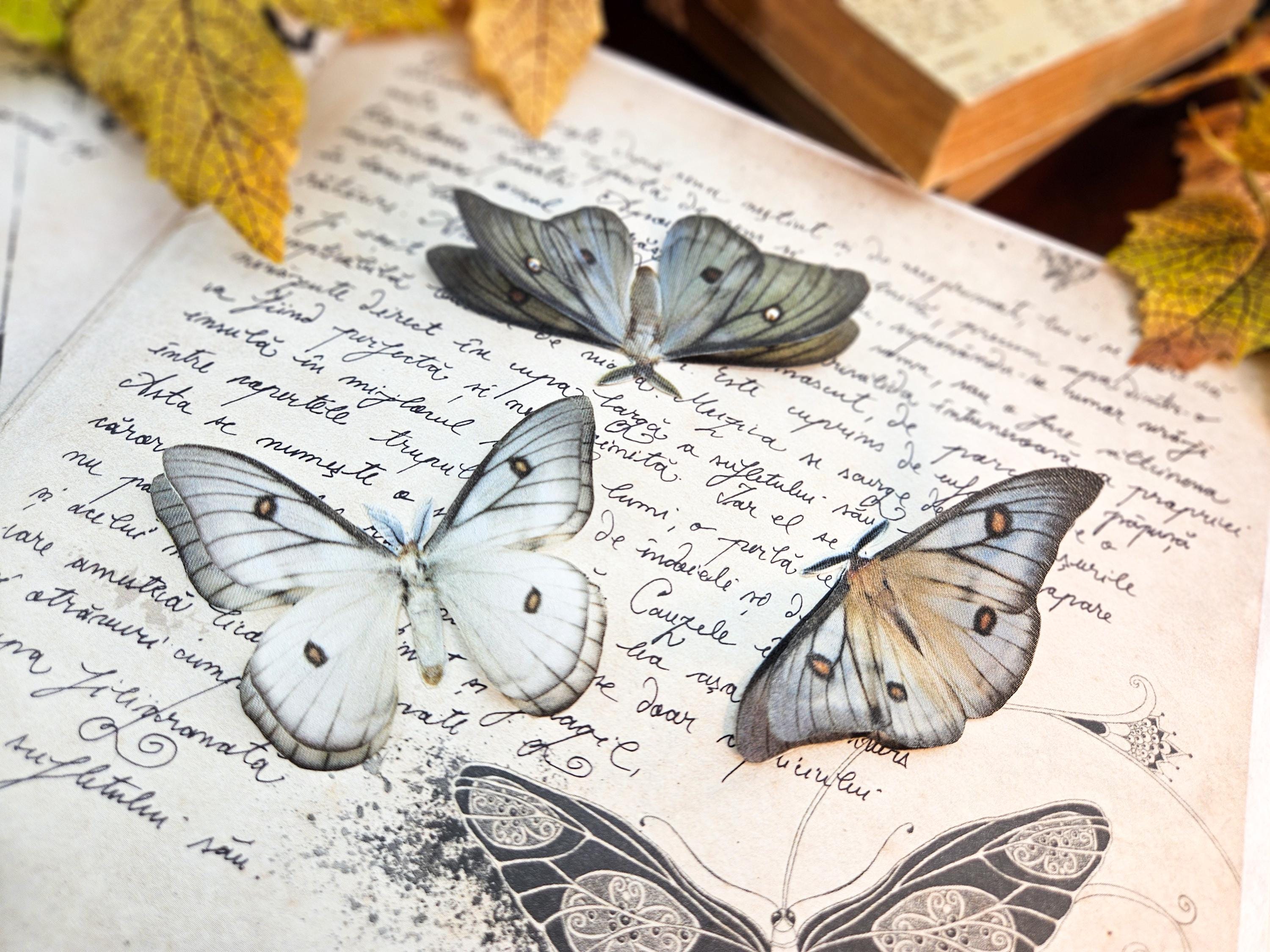 Ghost Silk Moths Mix of 3, Gothic Style Moths With Layered Wings ...