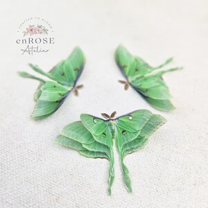 Silk Green Luna Moth Hair Clip, 3D Moon Moth Butterfly With Layered ...