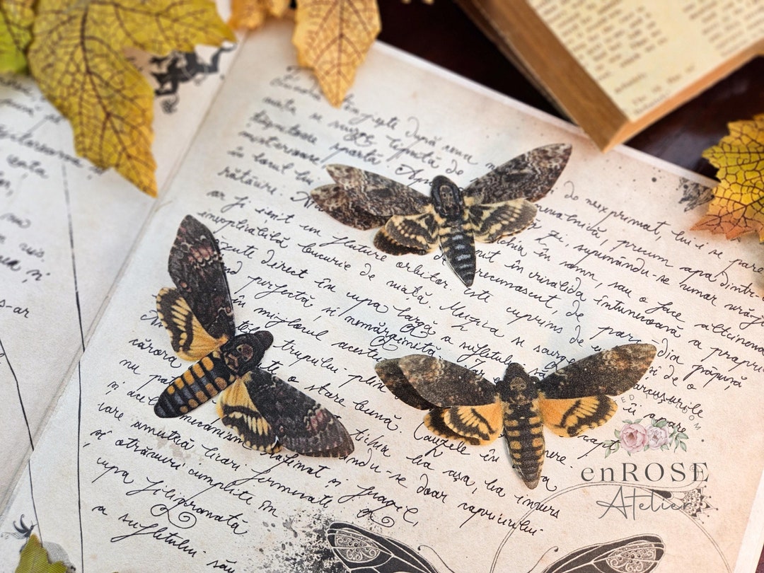 Silk Death Head Moths, Gothic Style Moths With Layered Wings, Halloween ...