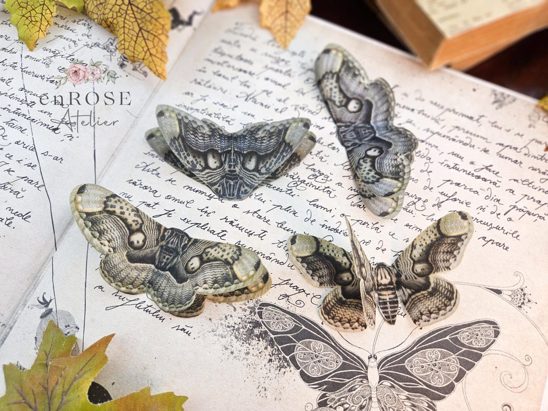 Set of 4 Silk Owl Moths, Brooches or Hair Clips, Halloween Accessories ...