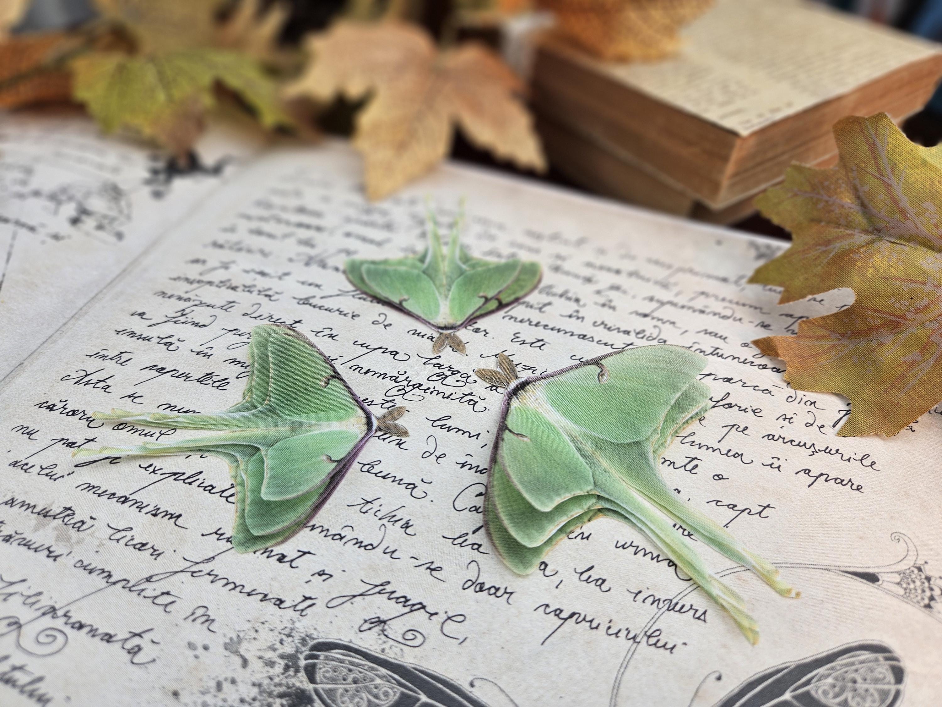 Realistic Luna Moth Hair Clips Set of 3, 3D Green Moon Moths With ...
