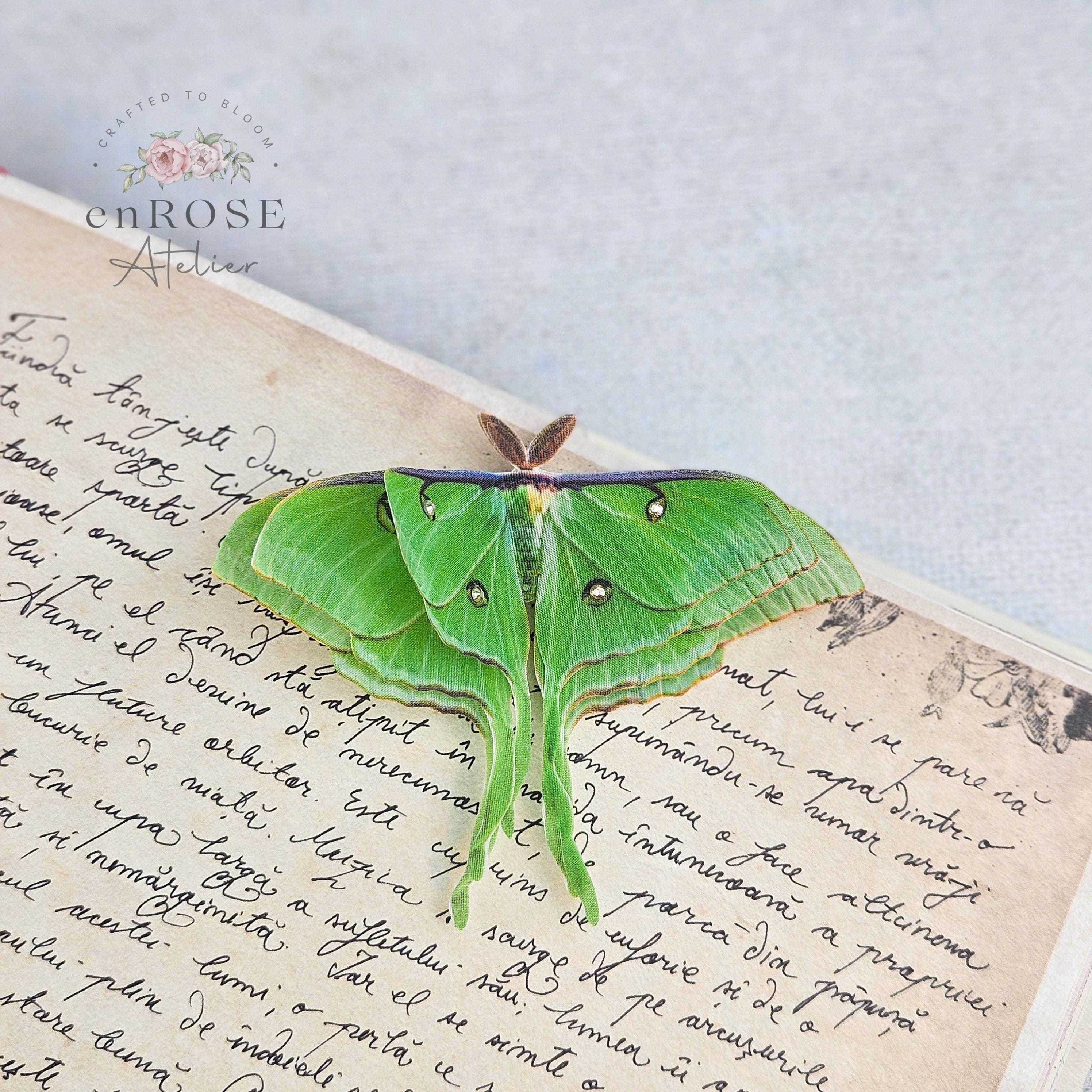 Extra Large Green Luna Moth Hairclip, 3D Silk Realistic Butterfly With ...