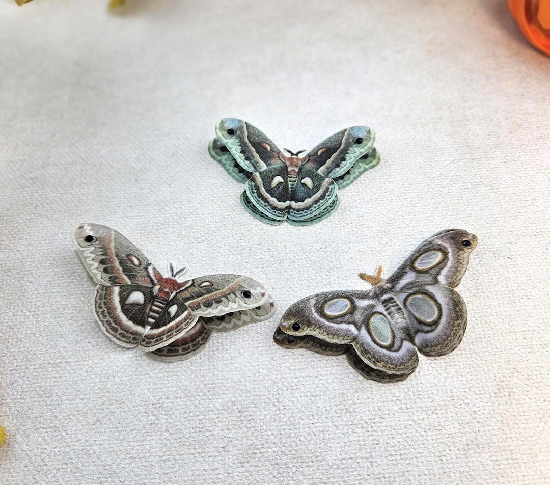 Set of 3 Realistic Moths With Layered Wings, 3D Butterflies, Nature ...