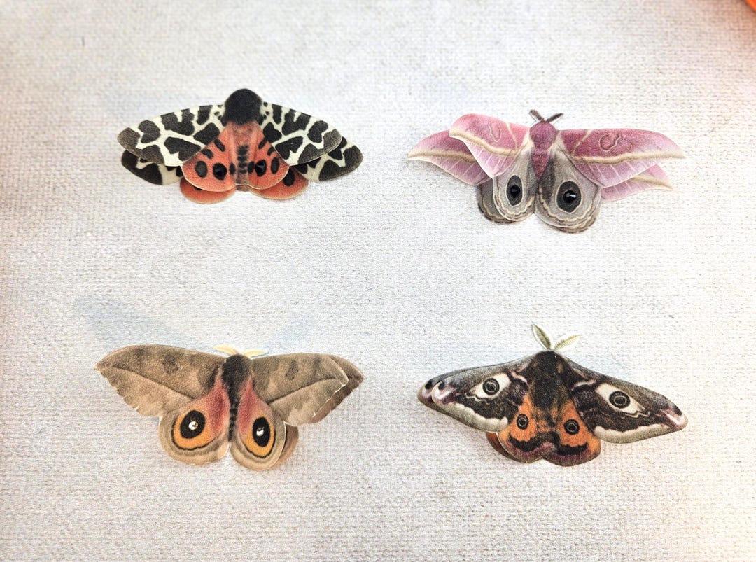 Set of 4 Realistic Moths With Layered Wings, 3D Butterflies, Nature ...