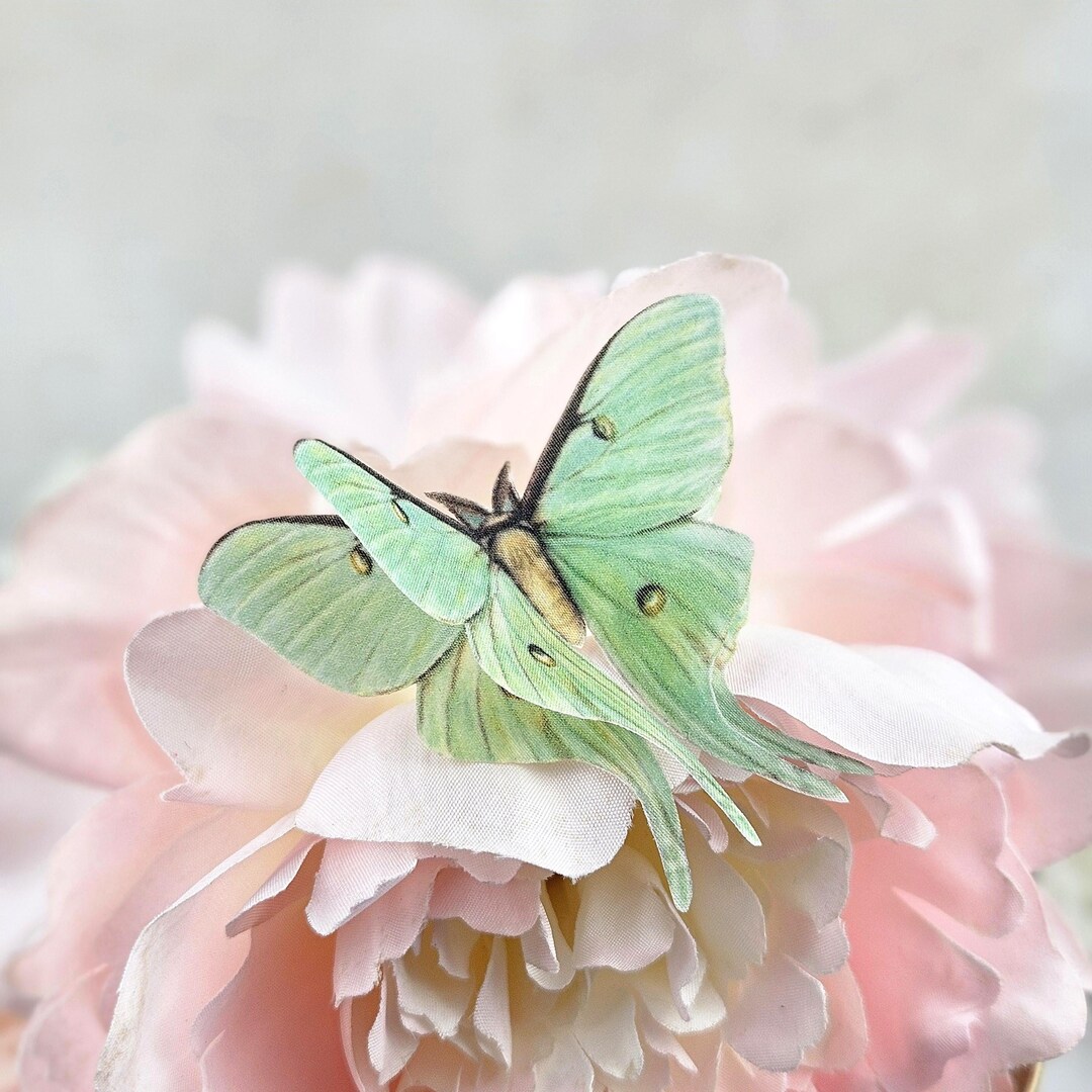 Silk Green Luna Moth Ring With Layered Wings, Actias Ningpoana Moth ...