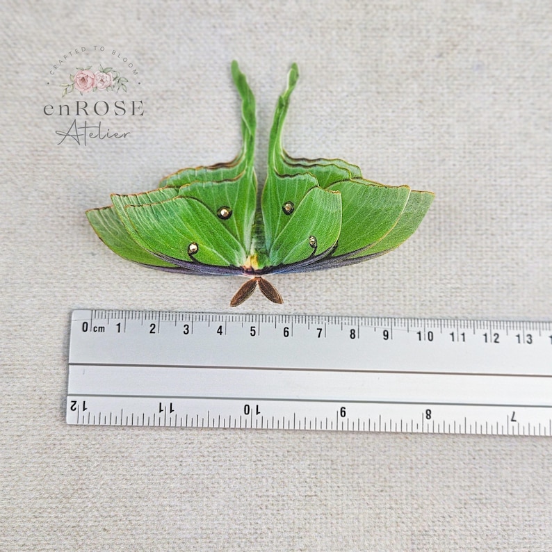 Extra Large Green Luna Moth Hairclip, 3D Silk Realistic Butterfly With ...